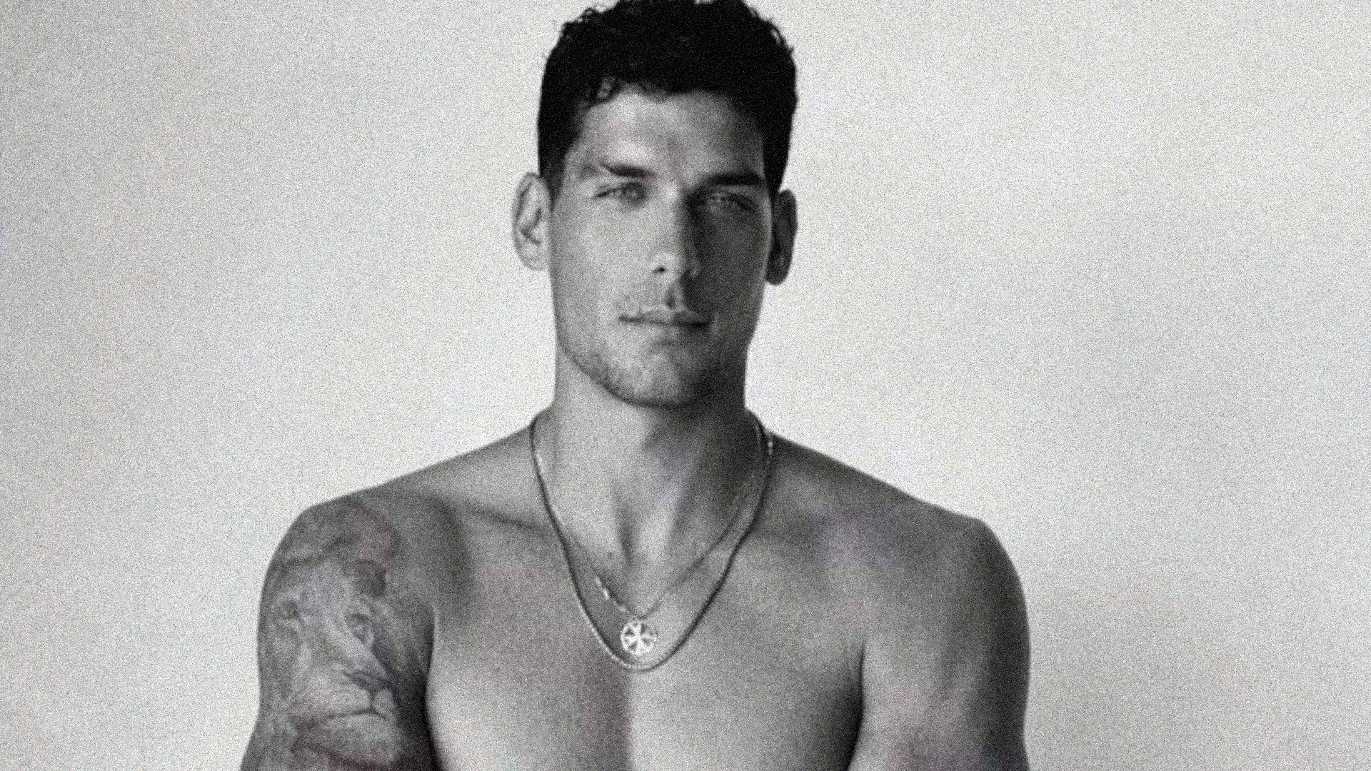 Daniel Perfetto | The Perfect Plan - 3-Month Transformation Programs